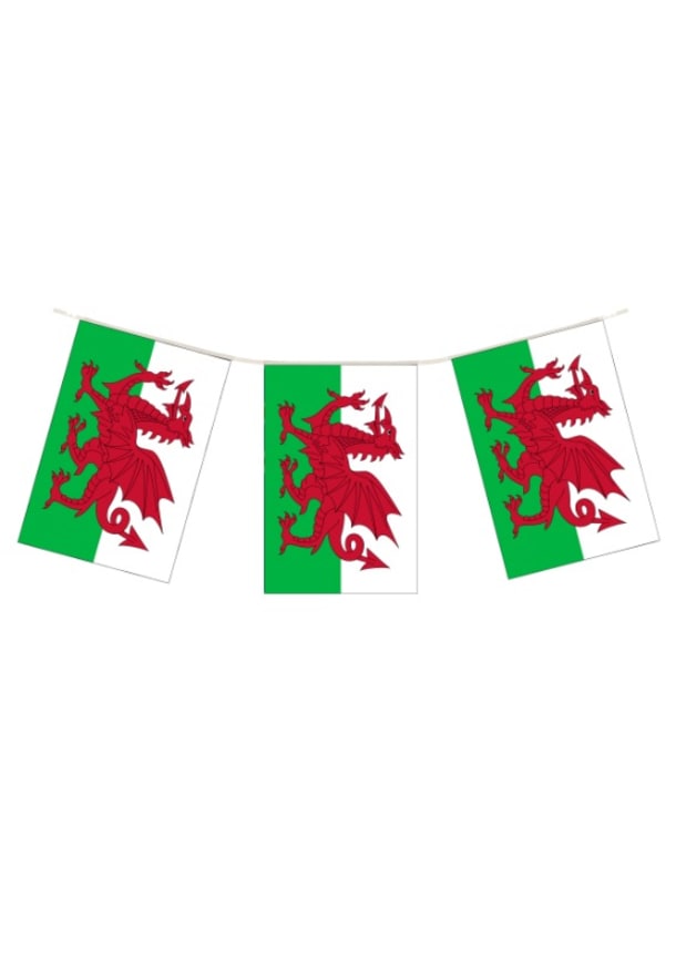 Welsh Flag Bunting 10m (20 Flags) - Nightclub Party