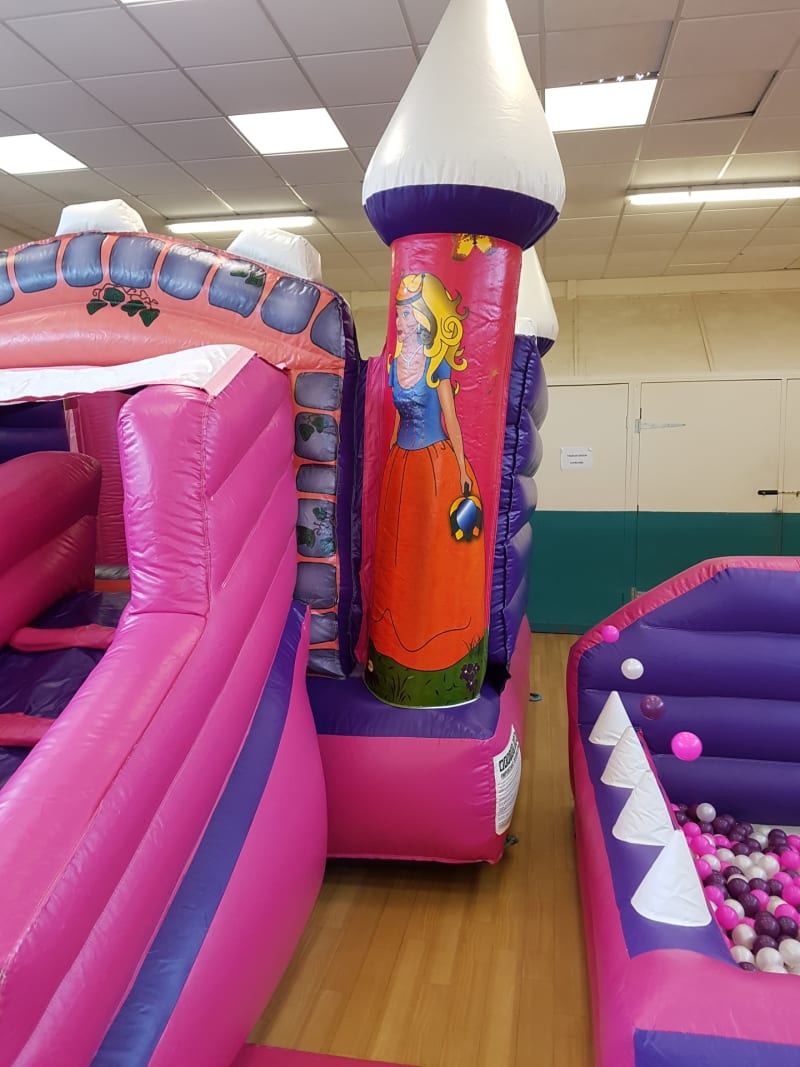Princess Bouncy Castle/slide - Riviera Events