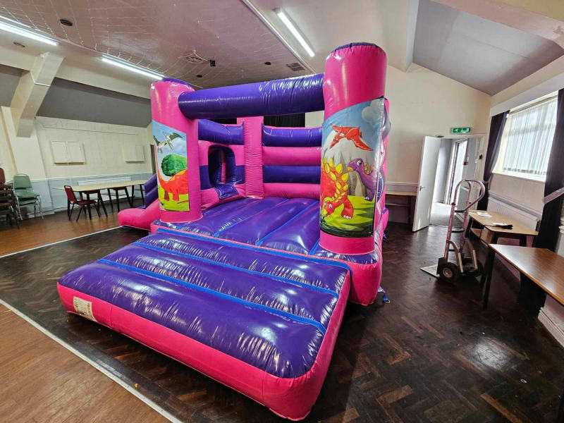 Dinosaurs 18ft X 14ft H Frame Pink And Purple Side Slide Combi Kangaroo ...