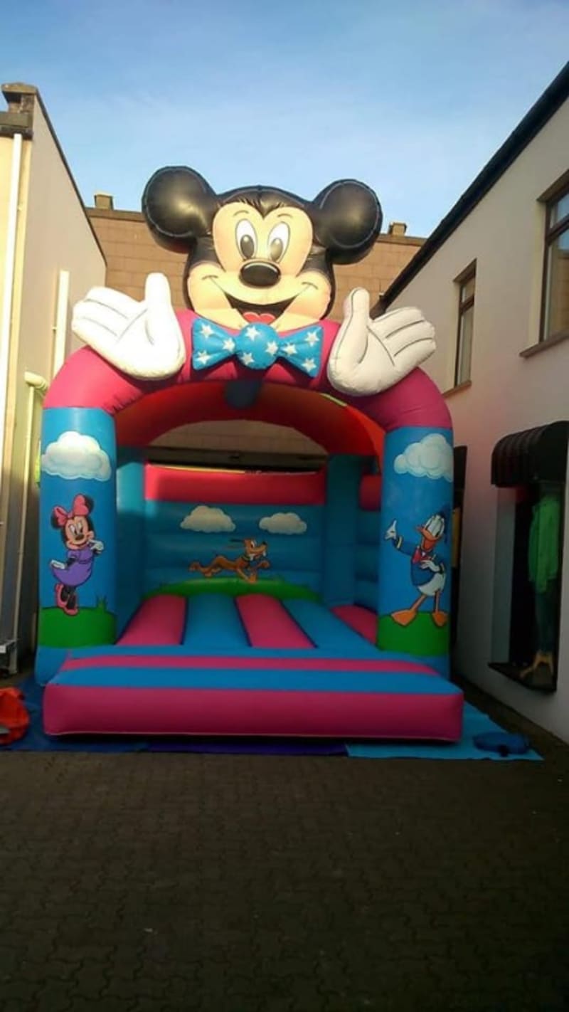 Mickey Mouse Castle Bouncy Castle Hire | Bangor, Newtownards, Belfast ...