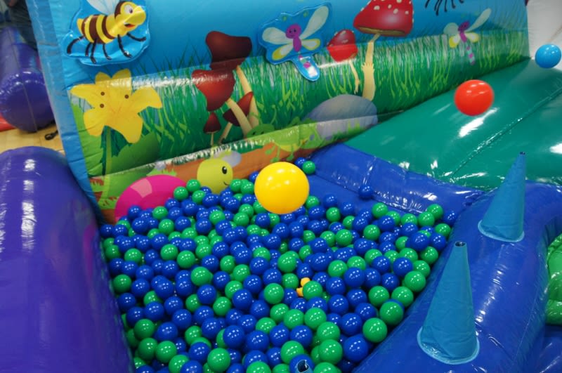 The Big Bouncy Bug Bed