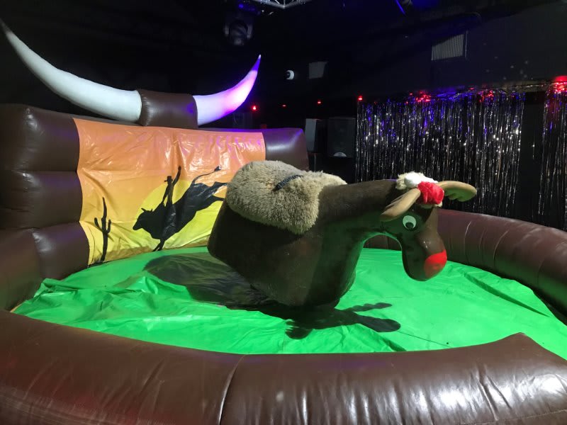 Rodeo Reindeer Hire Across The Uk, Including Kent, Essex, London ...