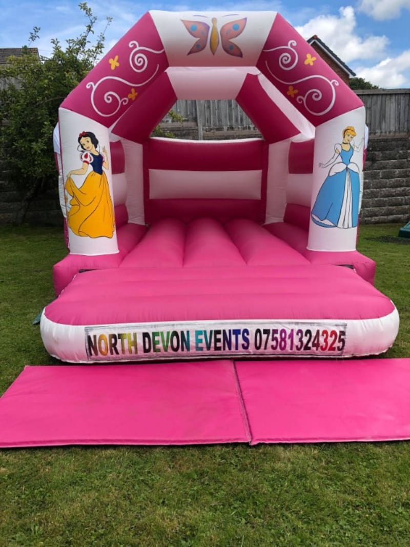 Princess Bouncy Castle - North Devon Events