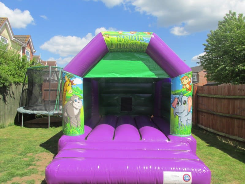 Amazon Bouncy Castle Jungle Animal Bouncy Castle - Its Fun Time