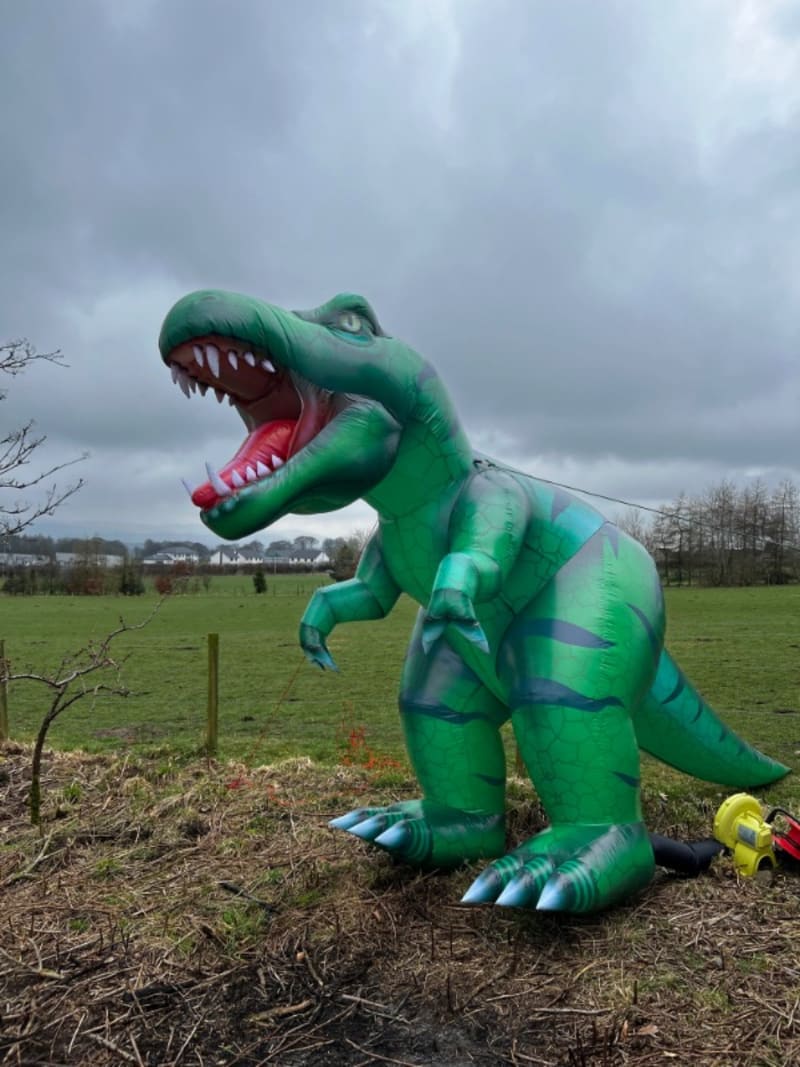 3m Inflatable Trex - Dreamtime Events Angus, Dundee & South Aberdeenshire