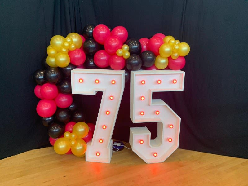 4ft 2 X Light Up Led Numbers - The Little House of Bounce