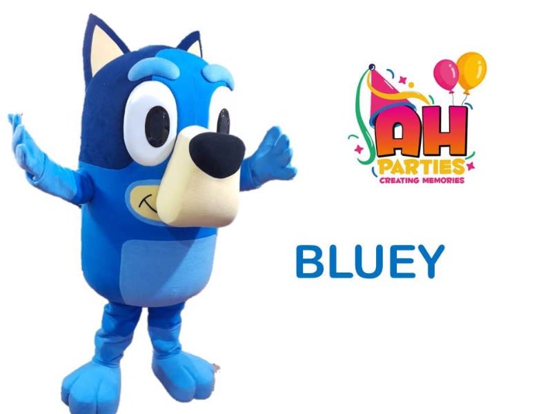 Bluey Captain America Mascot Mascots Mascot Character Princess ...
