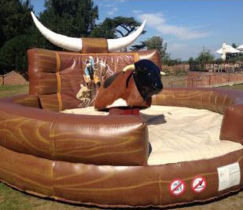 Rodeo Bull Hire Kent, Whitstable, Herne Bay, Canterbury, Faversham ...