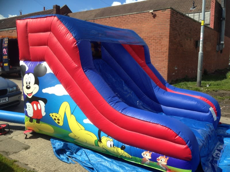 Mini Disney Slide - Affordable and high quality inflatables for hire in ...