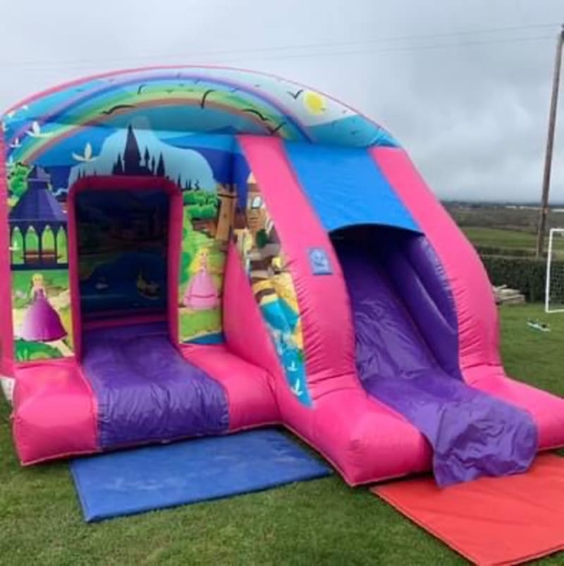 Pink Combi Bouncy Castle - Kings Bouncy Castle Hire | Northern Ireland