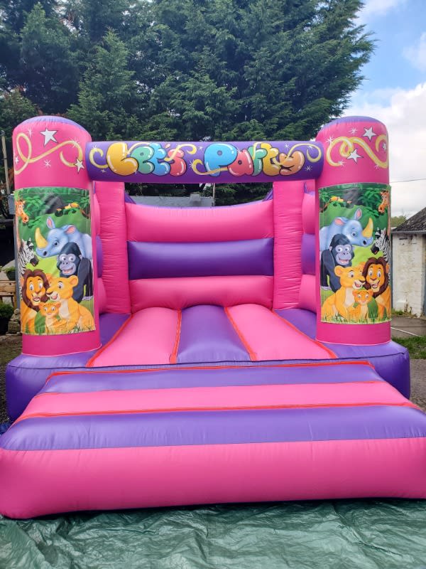 Gallery - Tiny Tots Inflatables