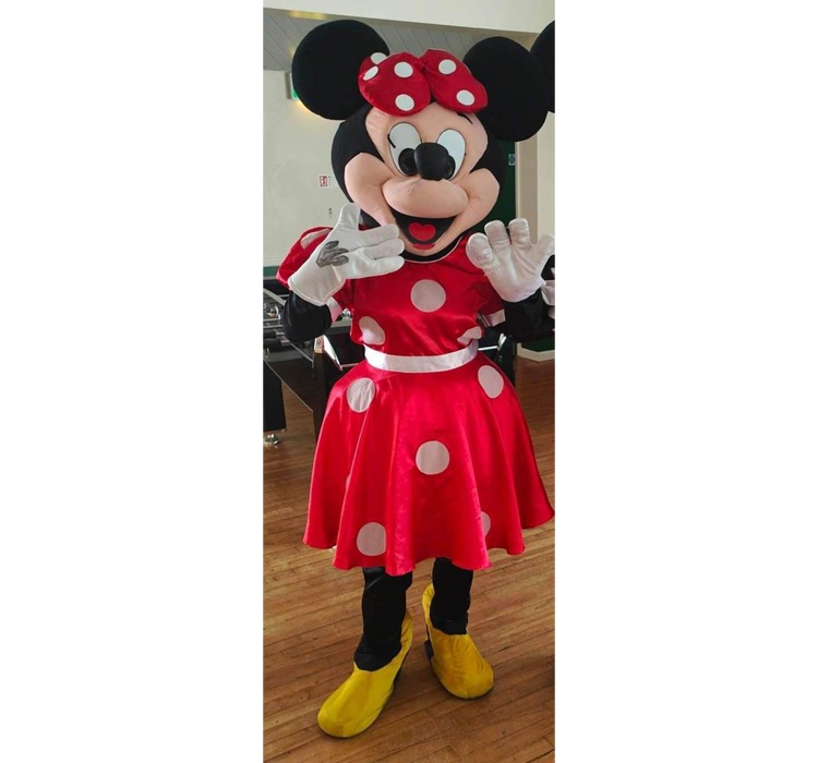 Minnie Mouse Mascot - BOUNCY CASTLES I INFLATABLES I FUN FOODS I ...