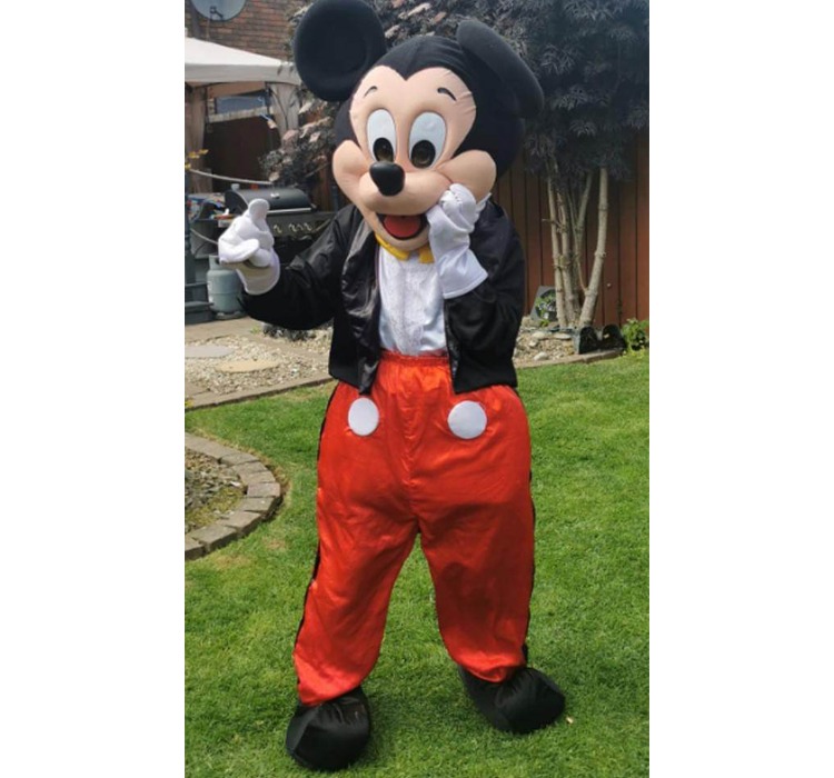 Mickey Mouse Mascot - BOUNCY CASTLES I INFLATABLES I FUN FOODS I ...