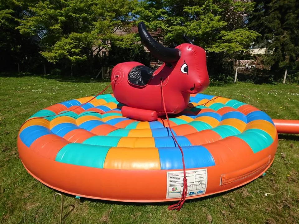 Manual Rodeo Bull Inflatable
