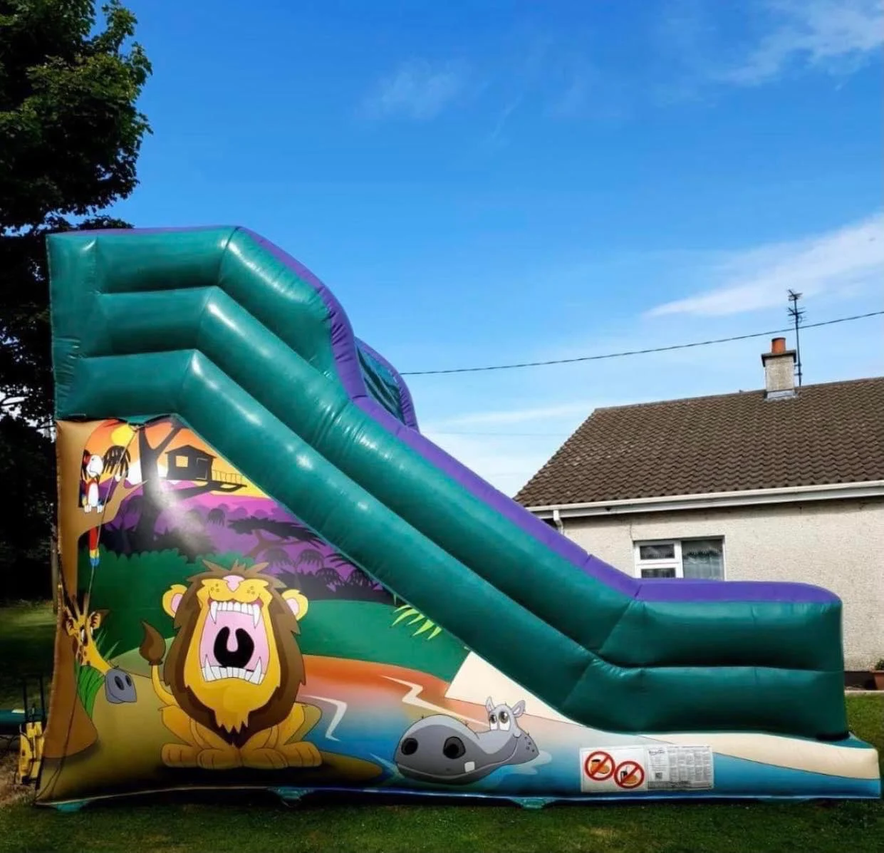 10ft High Platform Jungle Slide - INFLATABLE BOUNCY CASTLE HIRE ...