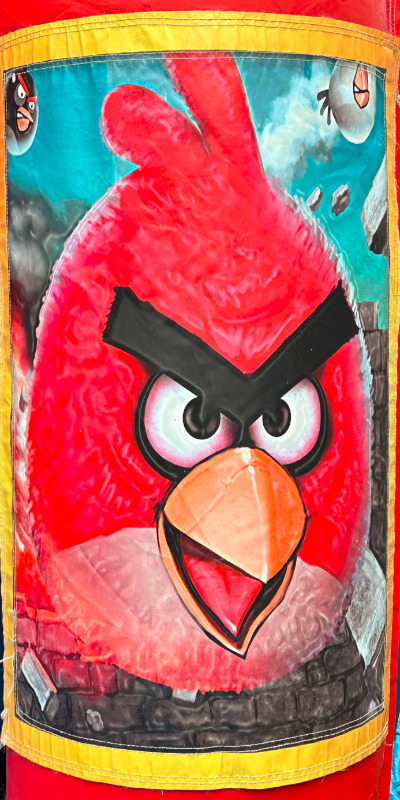 12ft X 12ft Pink And Purple - Angry Birds Theme - A Wibbly Wobbly ...