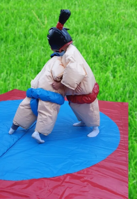 Sumo Suits Hire, Games, Inflatable Games And Hire Alfies Bouncy Castles