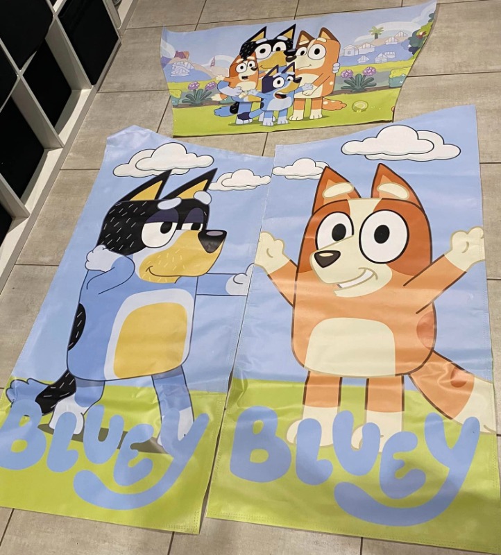 Bluey Bouncy Castle - Leicester Bouncy Castle Hire | Broughton Astley ...