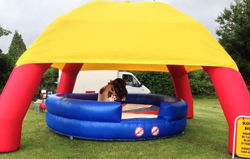 Rodeo Sheep Hire - MAXIBOUNCE: Entertainment Suppliers