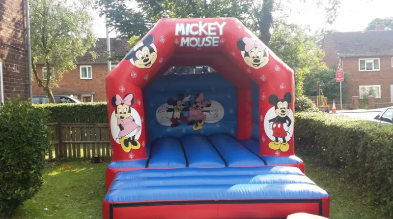 Mickey And Minnie Mouse Castle - Kangaroo Jacks