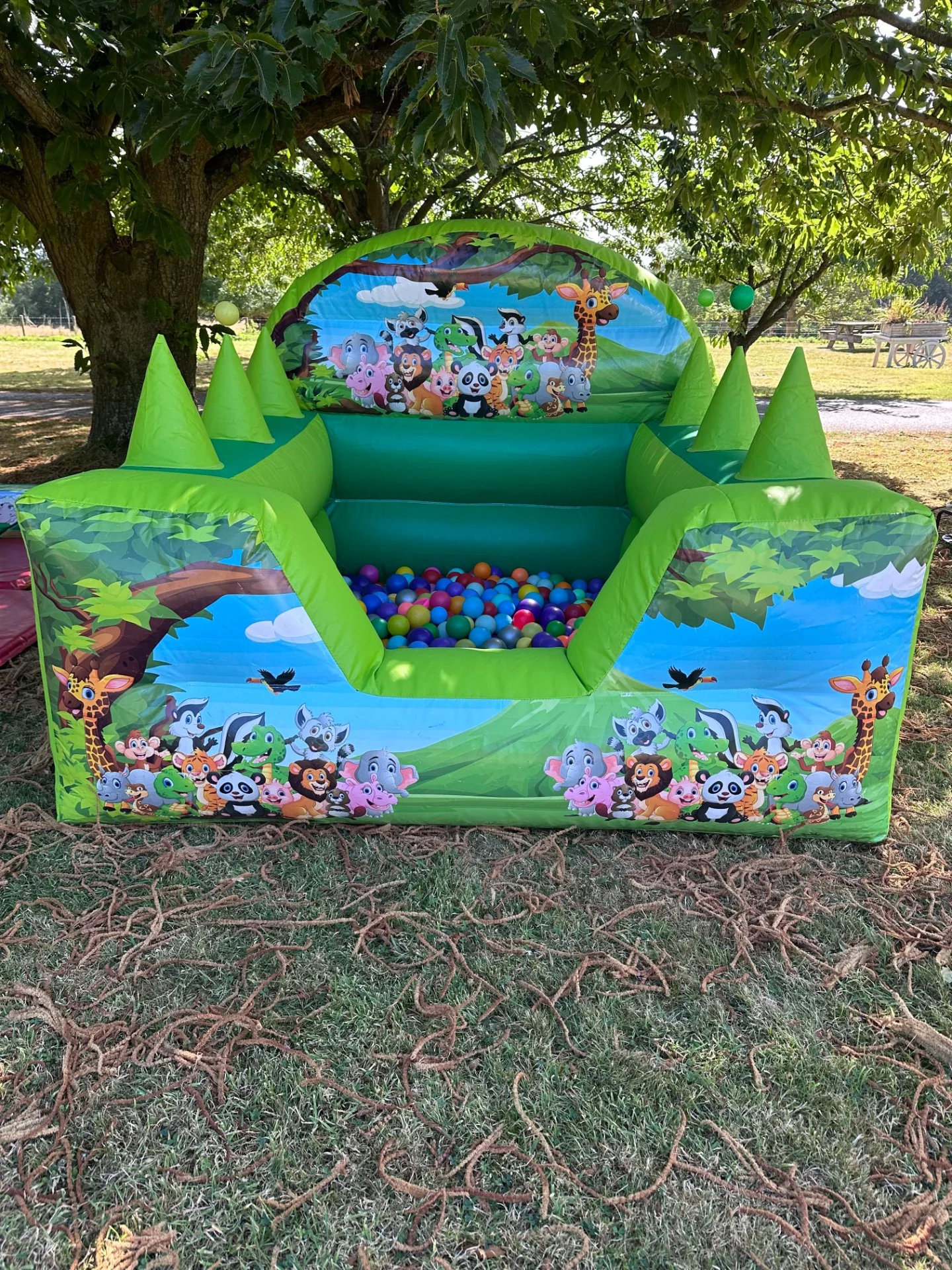 Jungle Inflatable Ball Pit Add On Only - Funday Kent