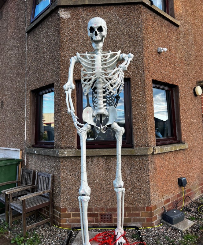 Gigantic Skeleton - Dreamtime Events Angus, Dundee & South Aberdeenshire