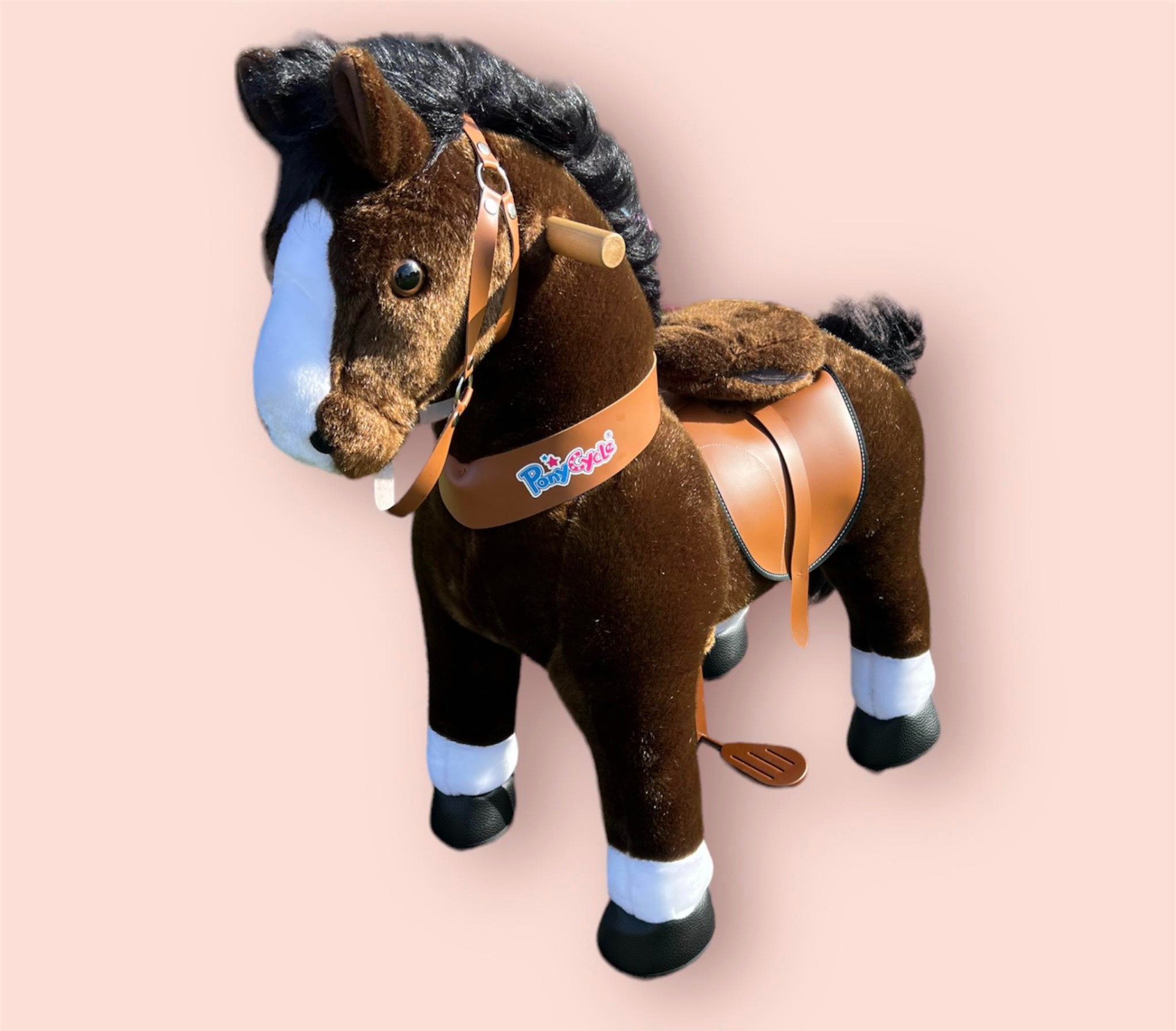 Pony Cycle Ride On - Dreamtime Events Angus, Dundee & South Aberdeenshire