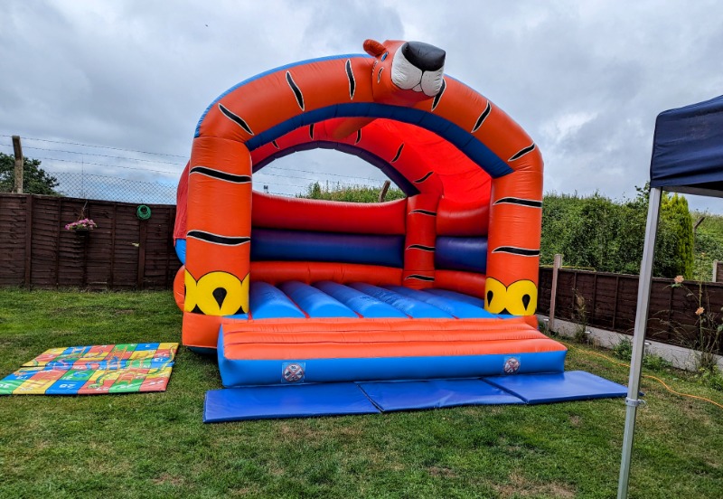 Tiger - Bounce World