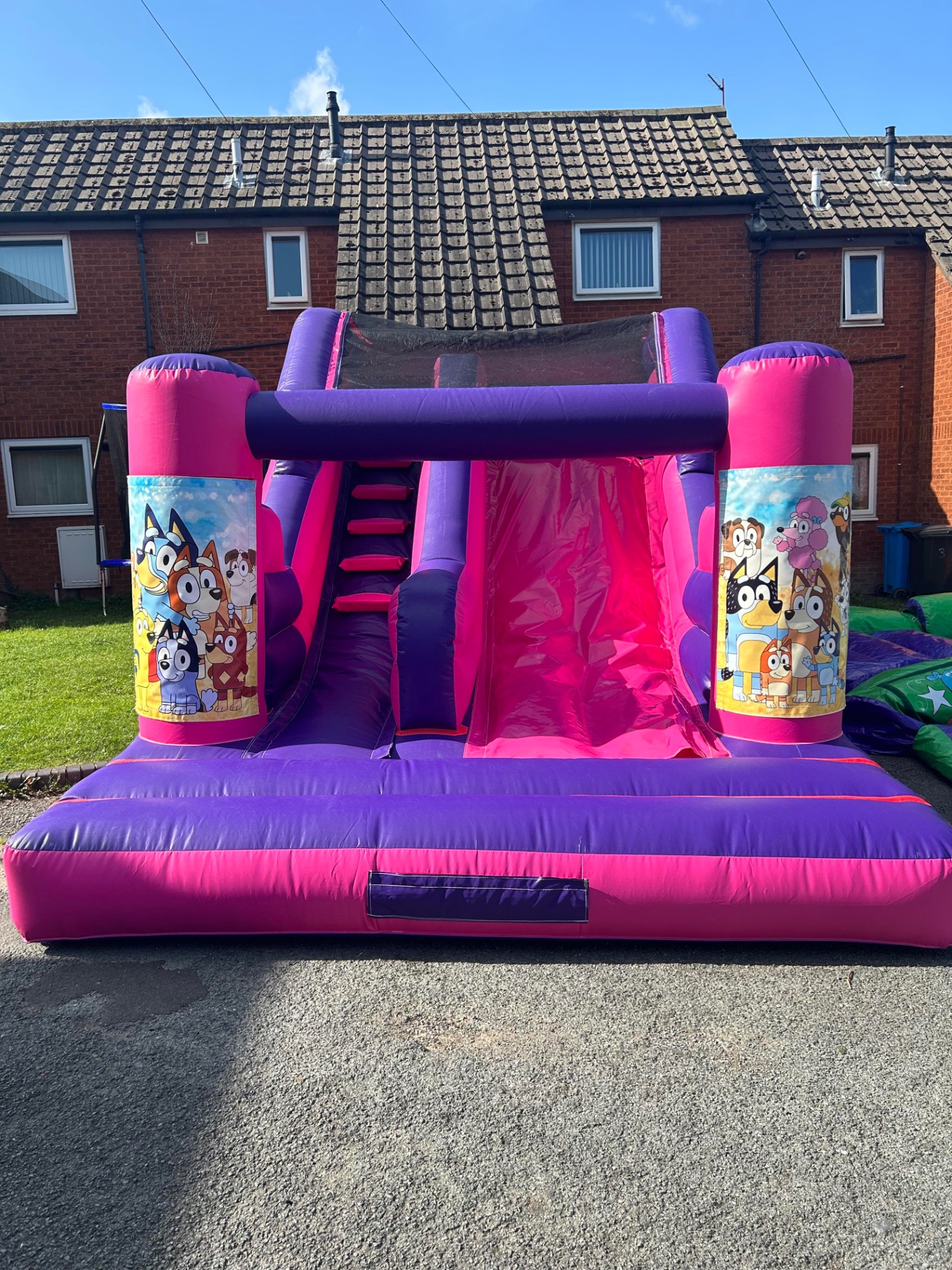 Bluey Pink And Purple 5ft 6 Platform Slide - Tiny Tots Inflatables