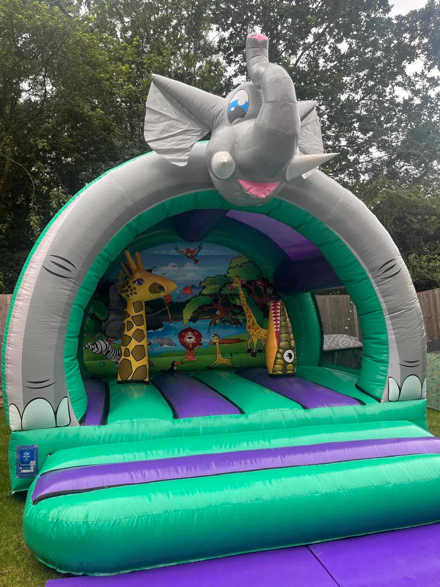 Jungle Castle - Howe 2 Bounce