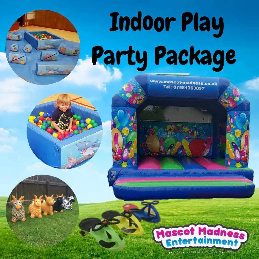 Indoor Play Party Package - Mascot Madness Entertainment
