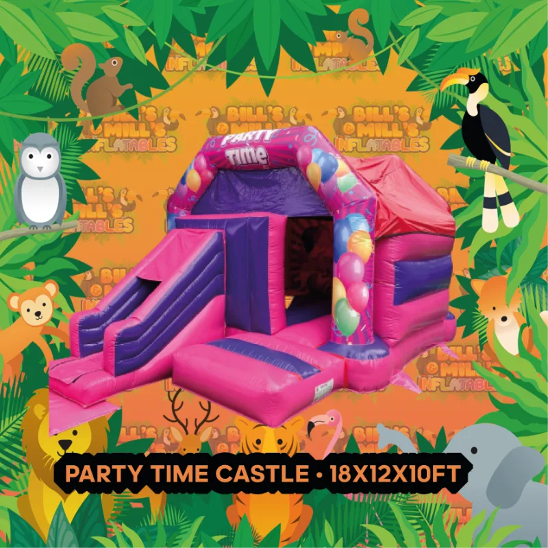 Party Time Castle With Front Slide, Bringing Joy To Kings Lynn - Bills ...
