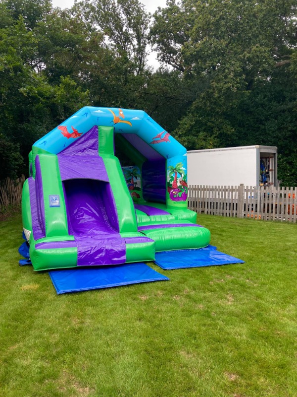 Dino Castle With Slide - Artists' Harvest