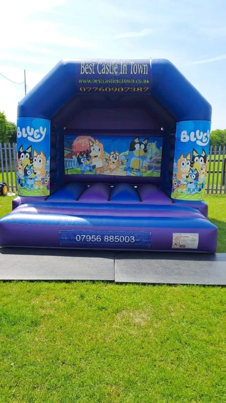 Bluey Castle Best Castle In Town