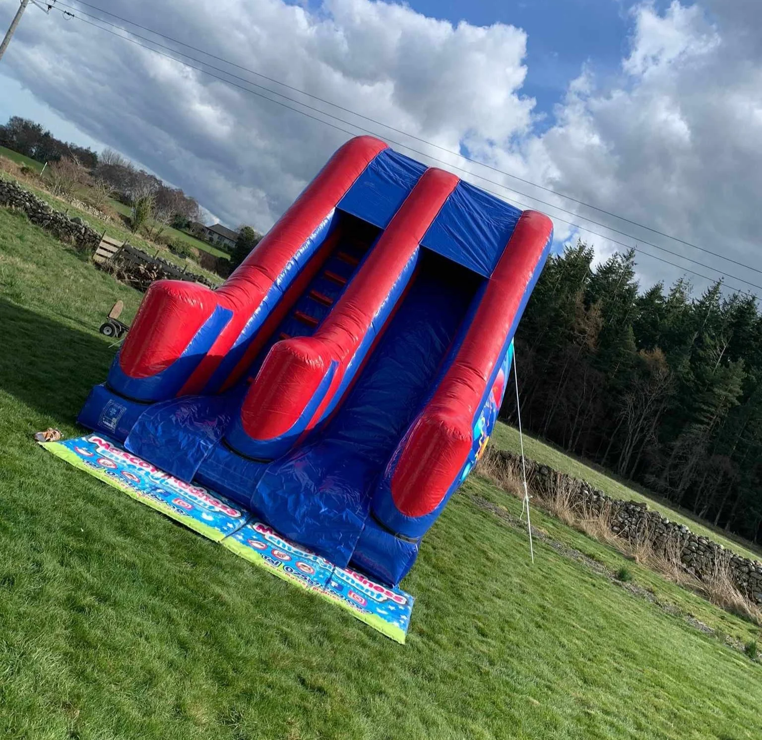 15ft Party Slide - Mascot Madness Entertainment