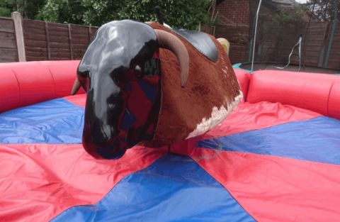 Rodeo Bull Hire - Bounceland Uk, Bouncy Castle Hire Cardiff, Bridgend ...