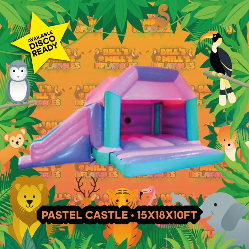 Pastel Castle With Side Slide, Bringing Joy To Kings Lynn - Bills and ...