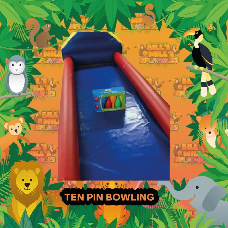 Ten Pin Bowling, Bringing Joy To Kings Lynn - Bills and Mills Inflatables