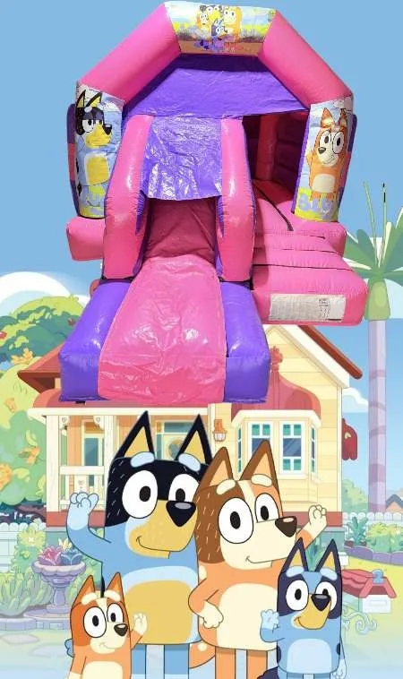 Bluey Combi Castle Inflatable and Soft Play Hire Redcar