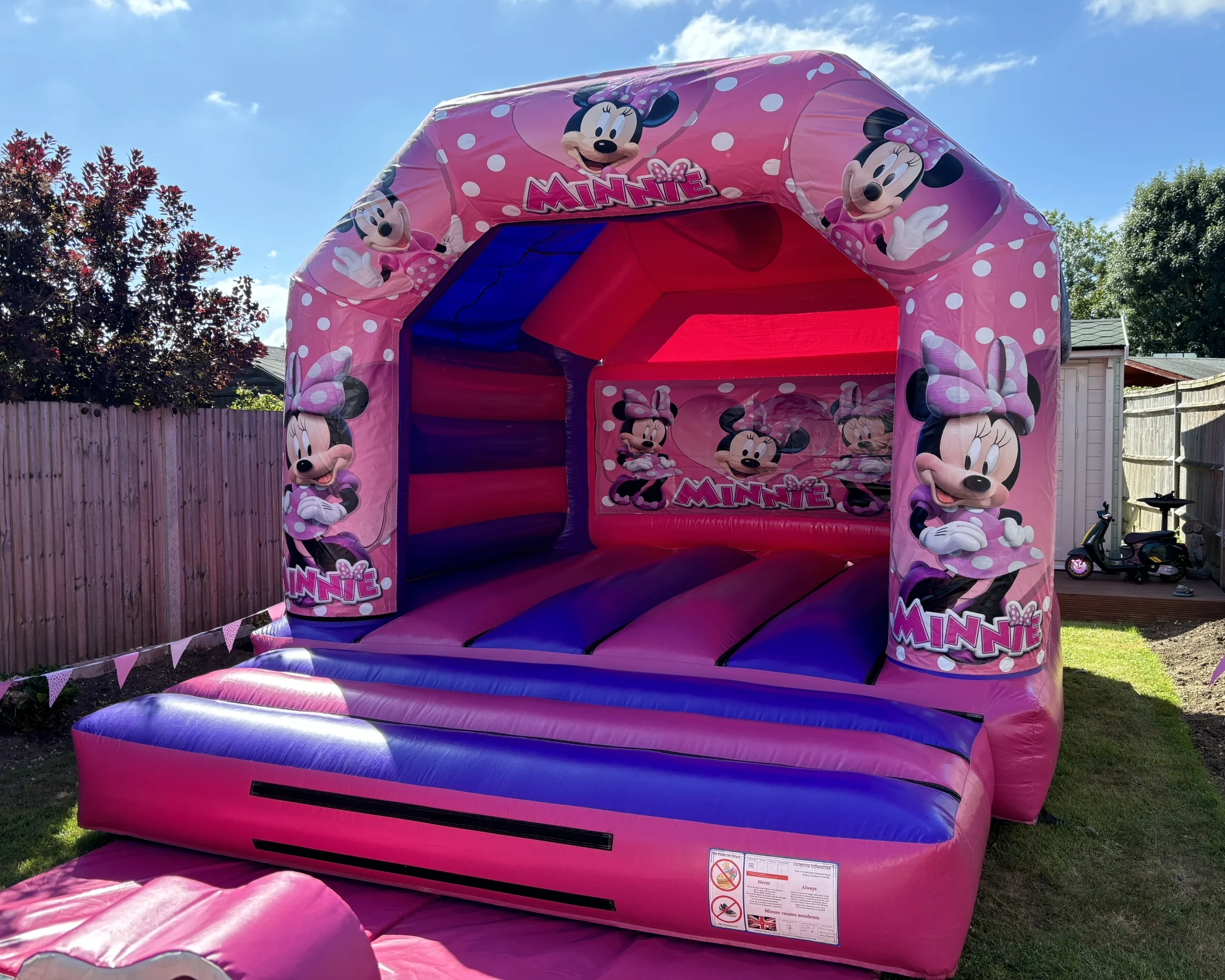 Minnie Mouse Bouncy Castle Hire Surrey Jaimies Castles, Bouncy Castle ...