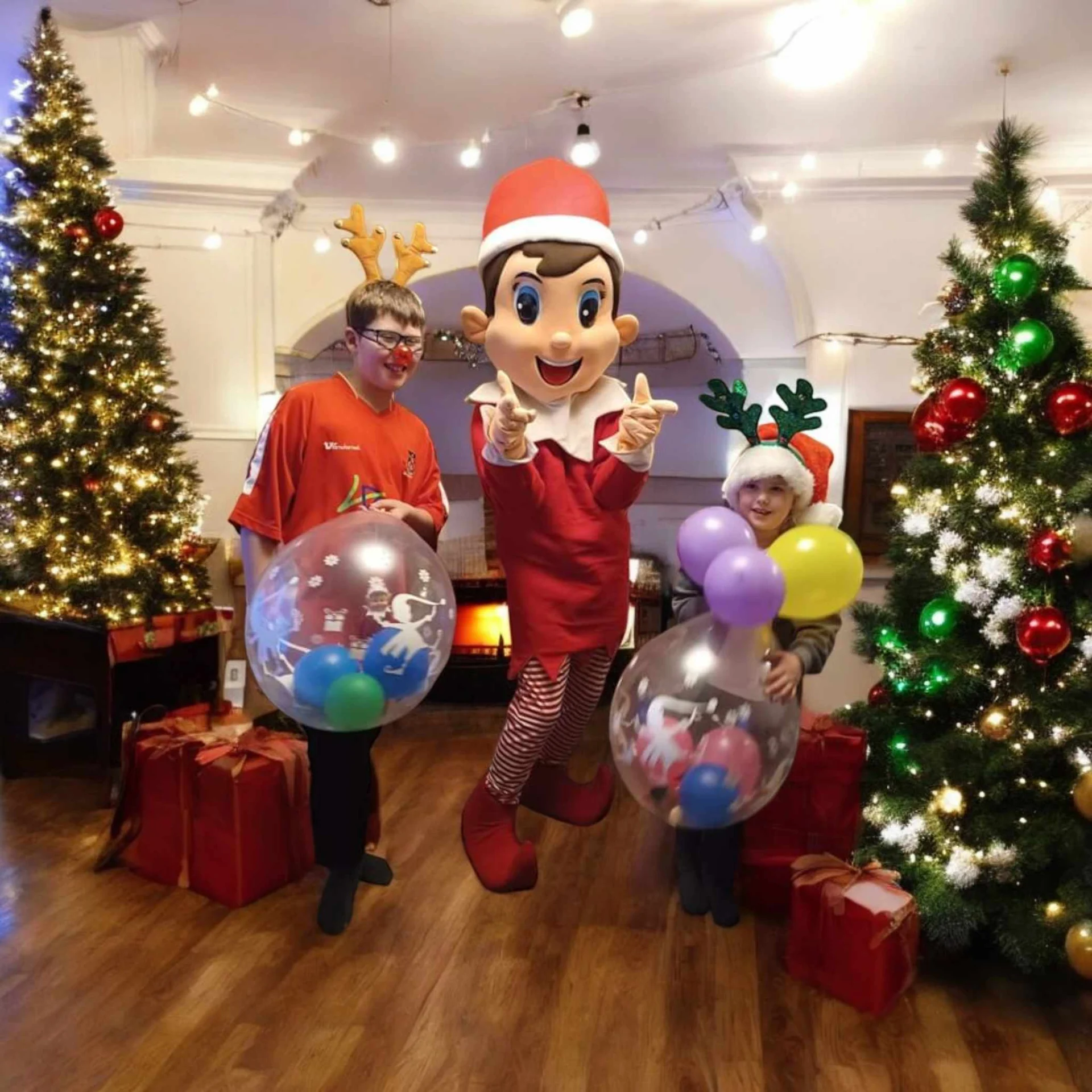 Elf Visit - Parties of Distinction