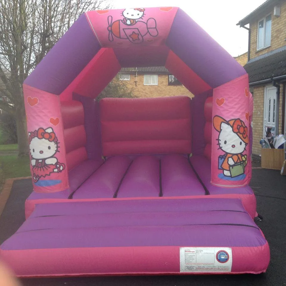 11 X 15ft Hello Kitty - Pink - Leicester Bouncy Castle Hire | Broughton ...