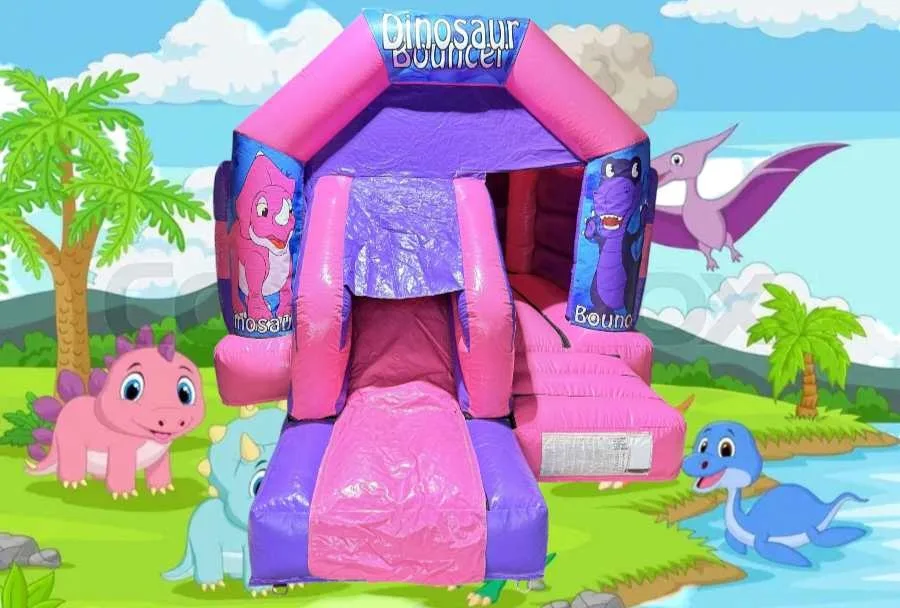 Dinosaur Combi Castle Inflatable and Soft Play Hire Redcar