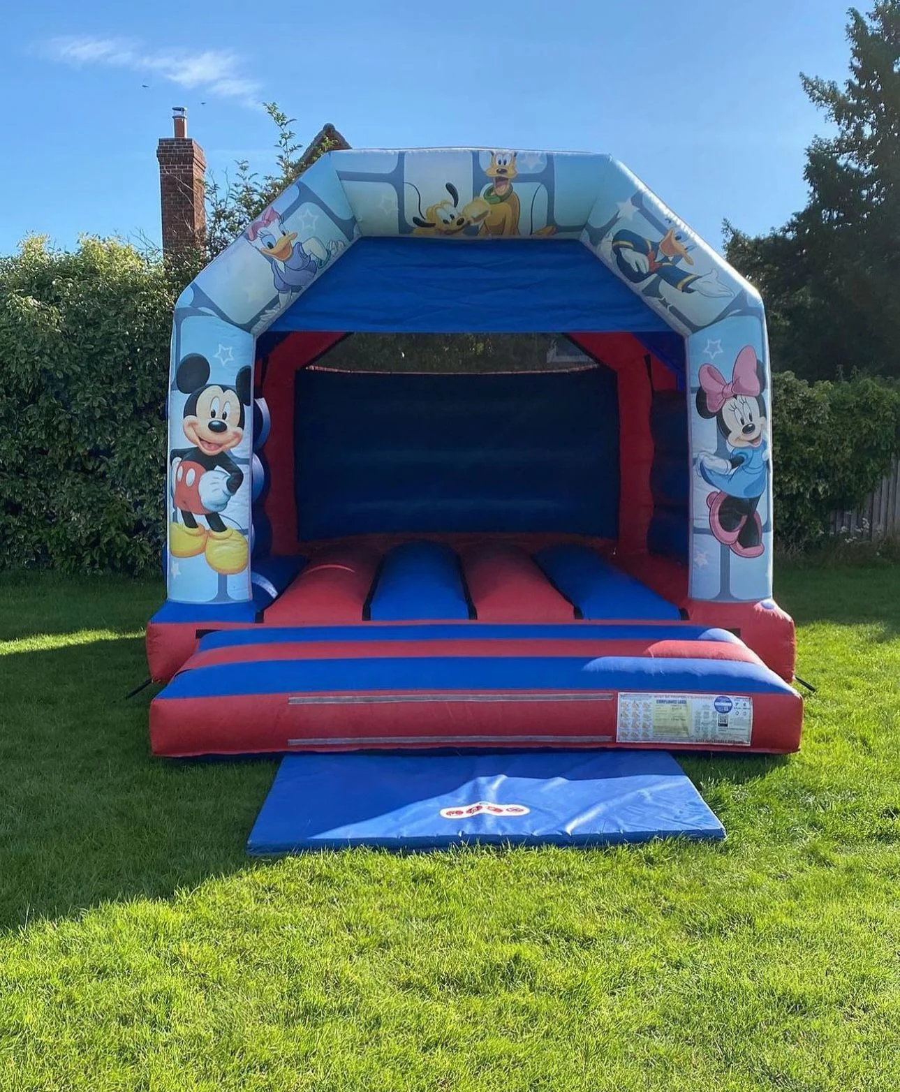 Mickey Mouse Castle - Mega Mayhem Ltd