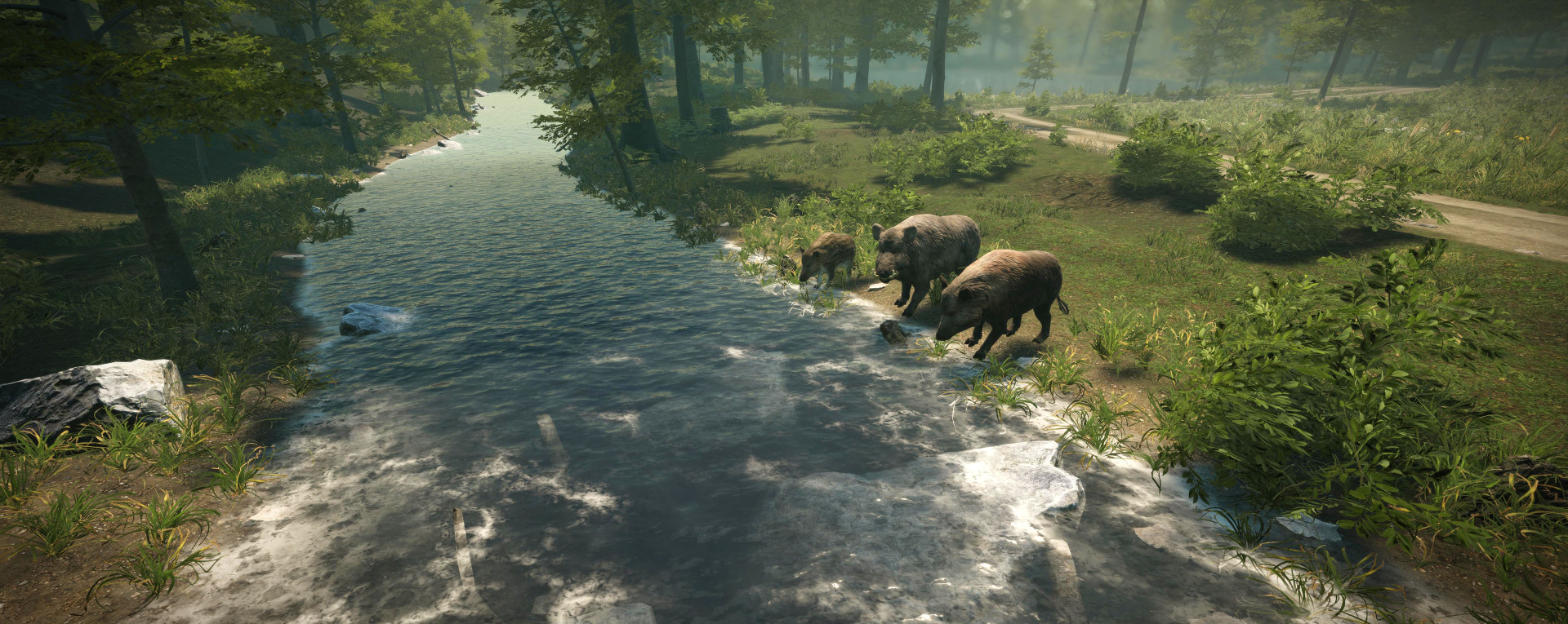 Natural Instincts - Keymailer