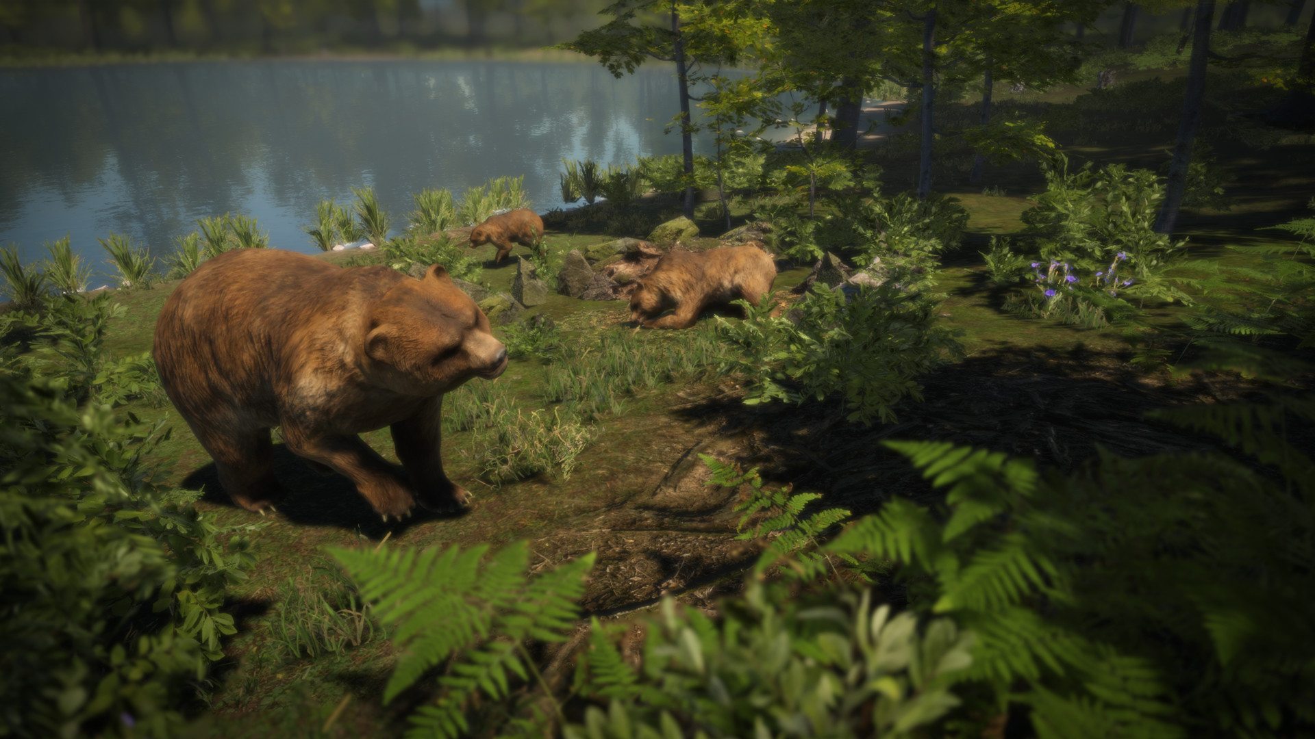 Natural Instincts - Keymailer