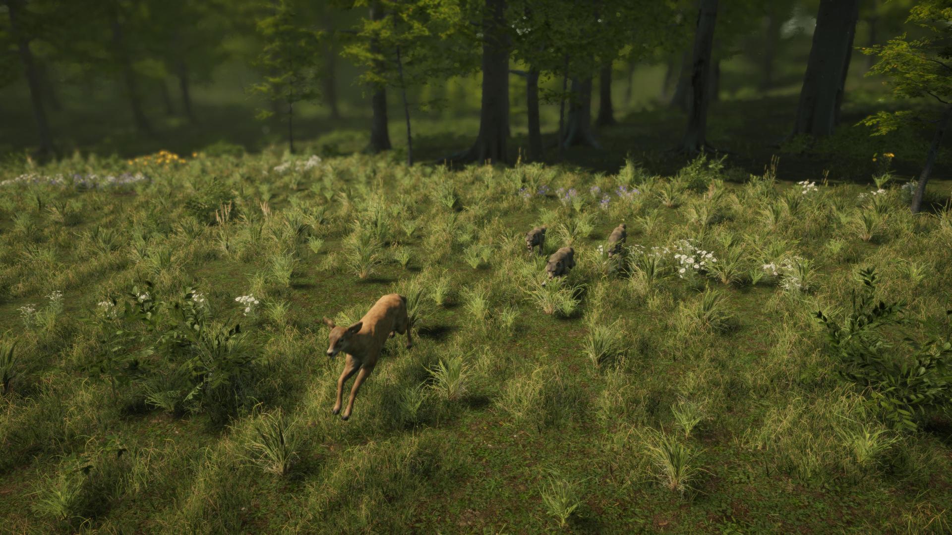 Natural Instincts - Keymailer