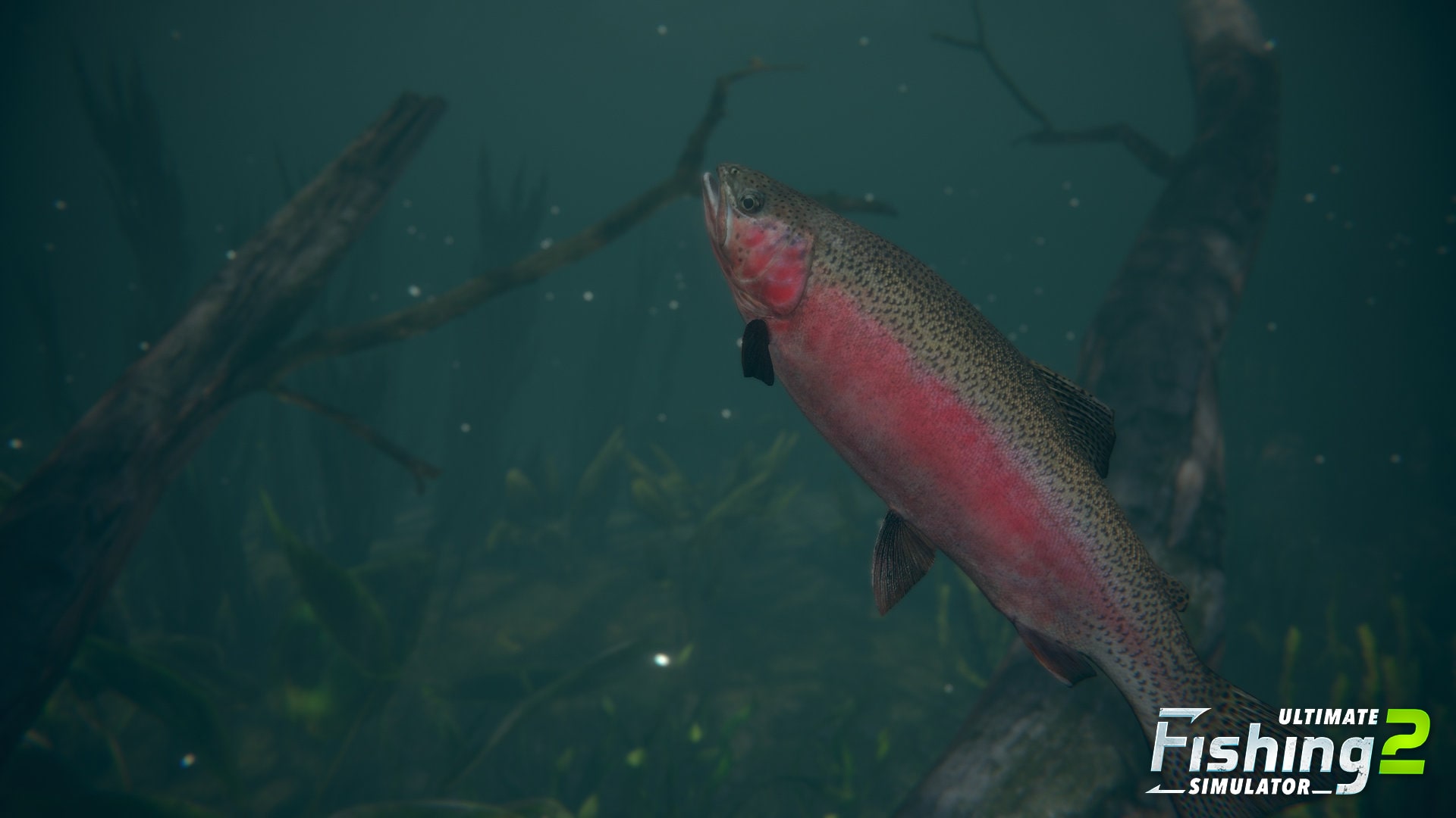 Ultimate Fishing Simulator 2 - Keymailer