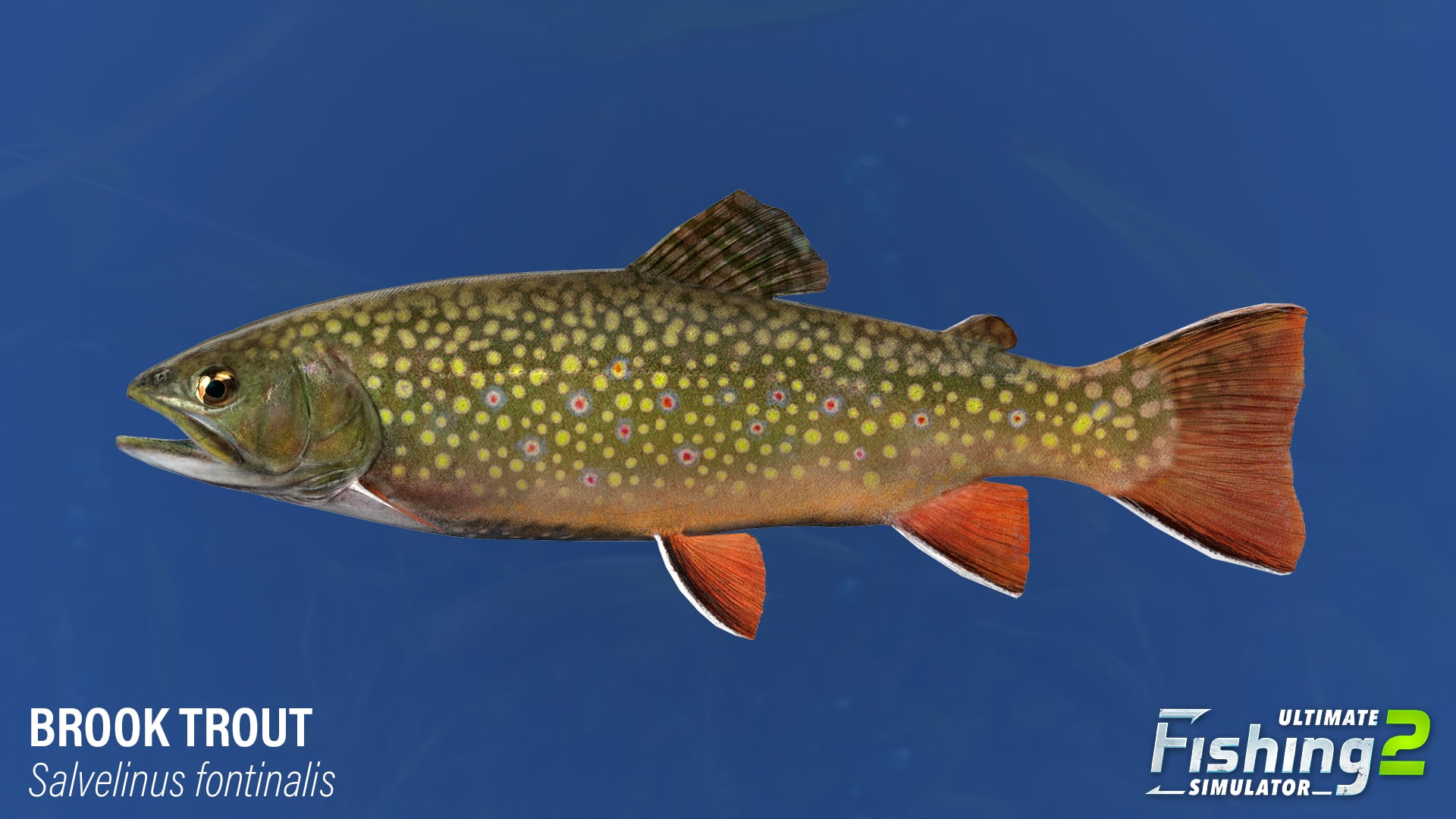 Ultimate Fishing Simulator 2 - Keymailer