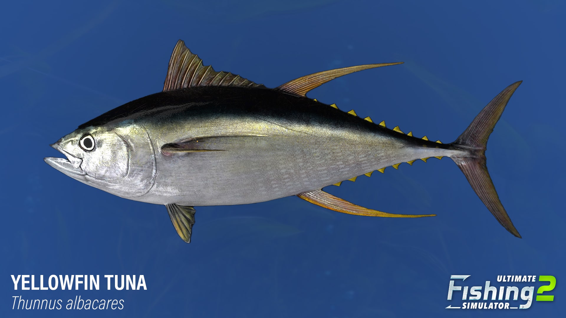 Ultimate Fishing Simulator 2 - Keymailer